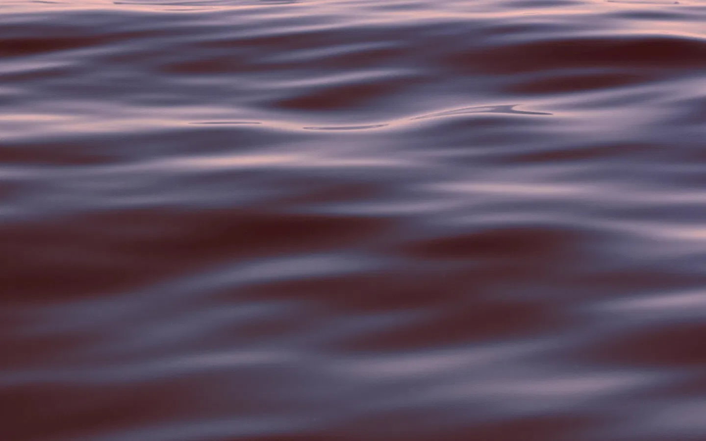 Silent meditation: what is it and how to practice it? - Meditation Moments